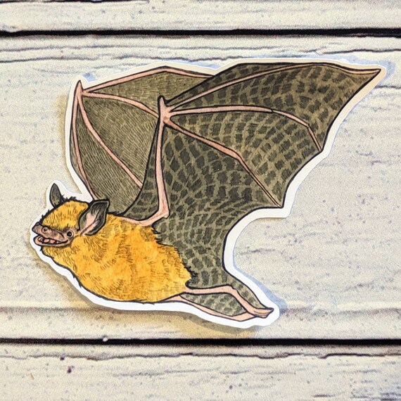 Tricolored Bat Vinyl Sticker | Etsy