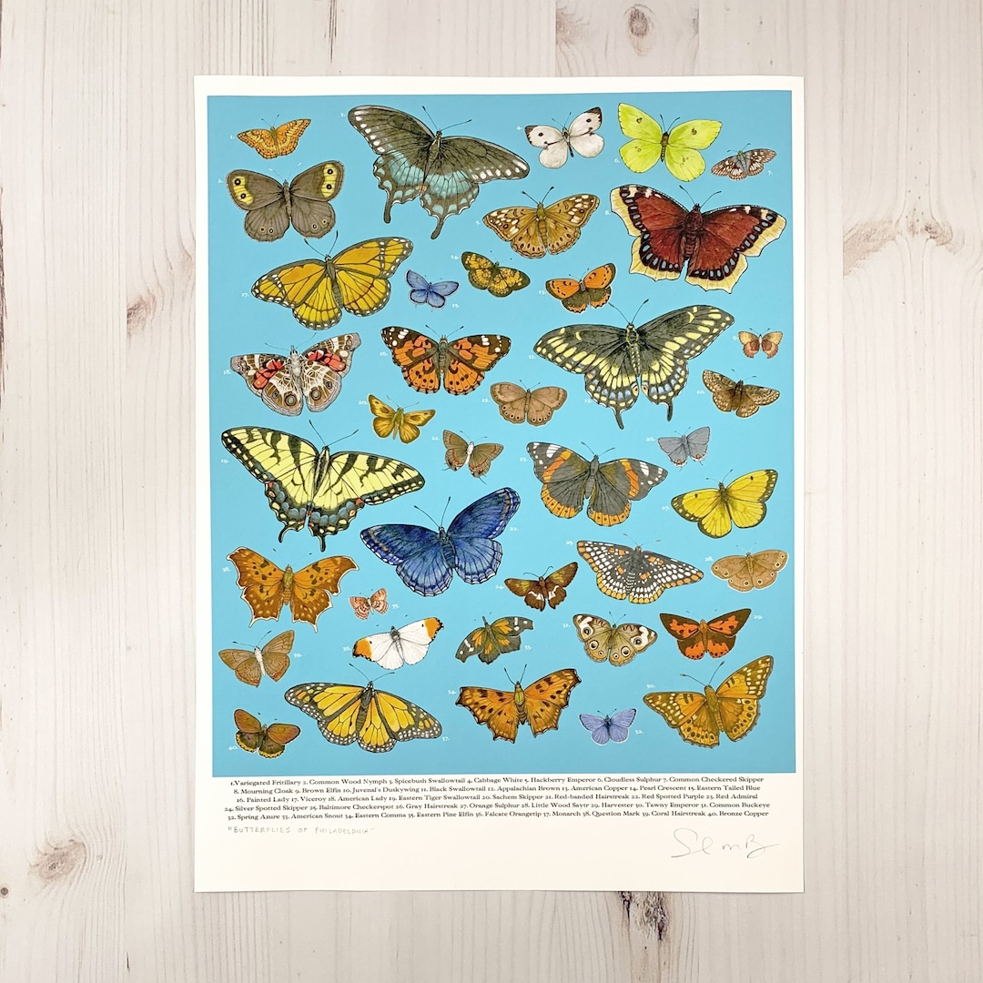 Eastern US Butterflies - 12x16" Archival Print - Etsy