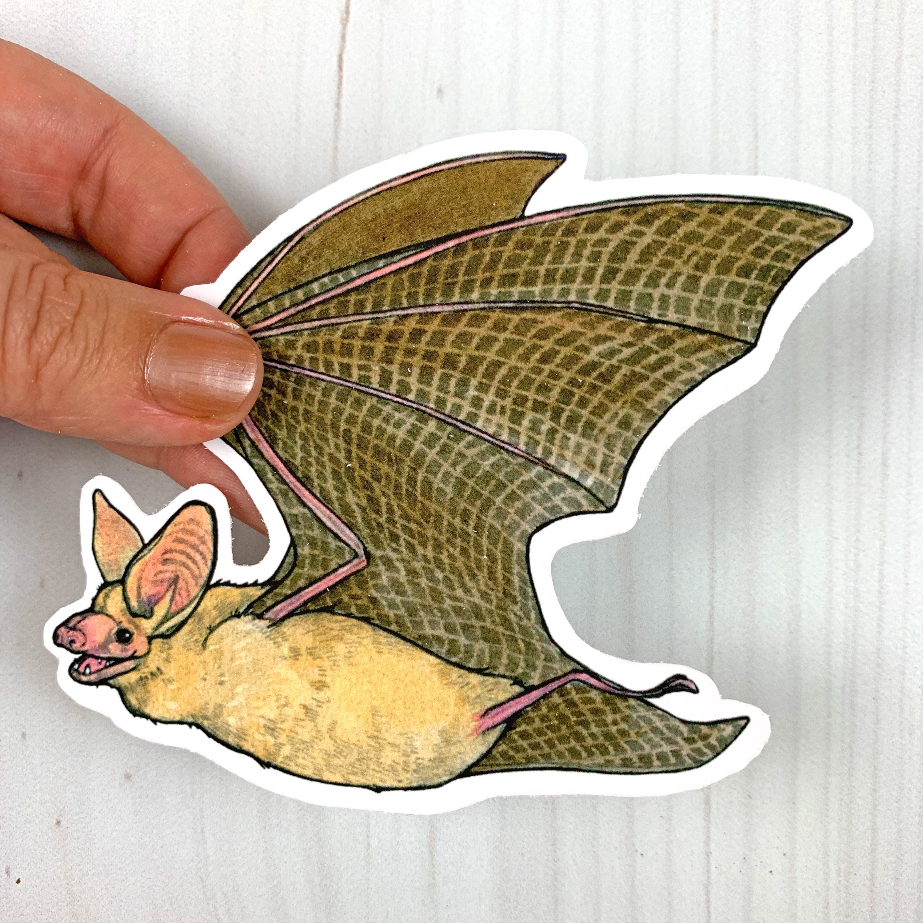 Pallid Bat Vinyl Sticker - Etsy