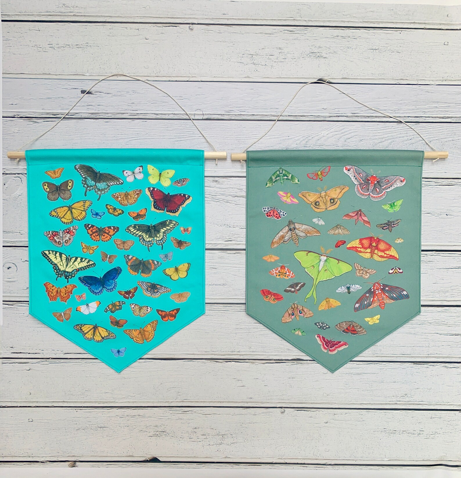 Illustrated Moth Wall Banner - Etsy