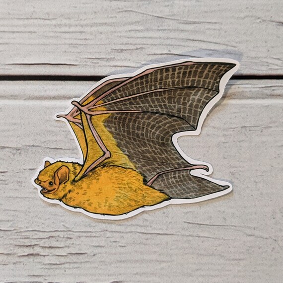 Eastern Red Bat Vinyl Sticker | Etsy