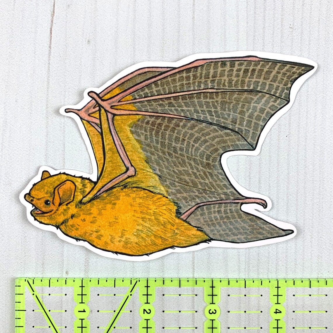 Eastern Red Bat Vinyl Sticker - Etsy