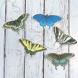 Swallowtail Butterfly Illustrated Garland | Etsy