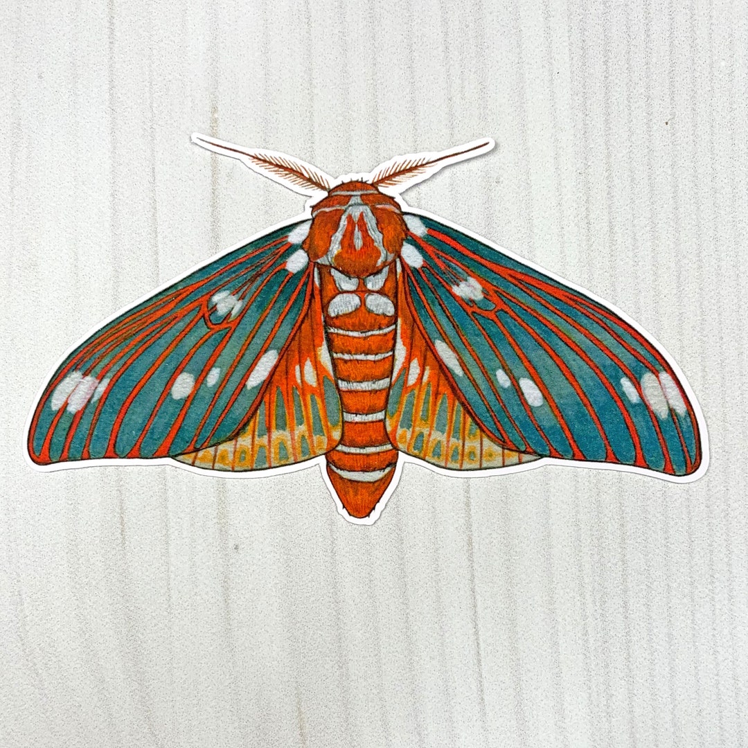 Regal Moth Matte Vinyl Sticker - Etsy