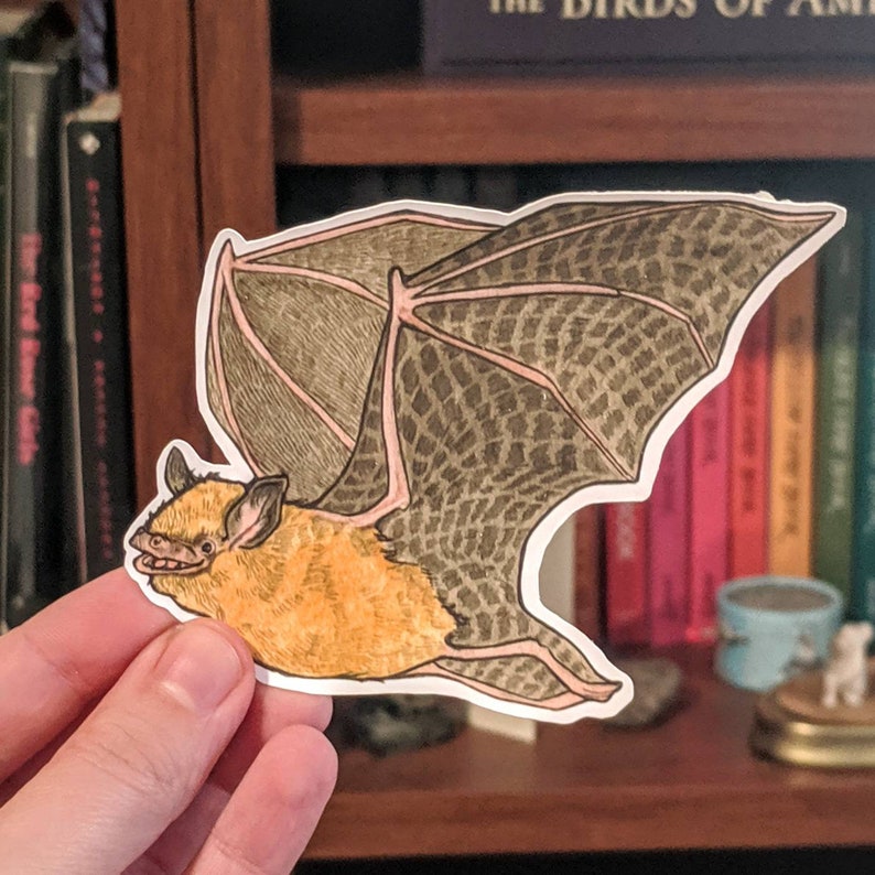 Tricolored Bat Vinyl Sticker - Etsy