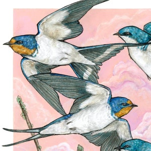 A Flight of Swallows - Archival Print - Etsy