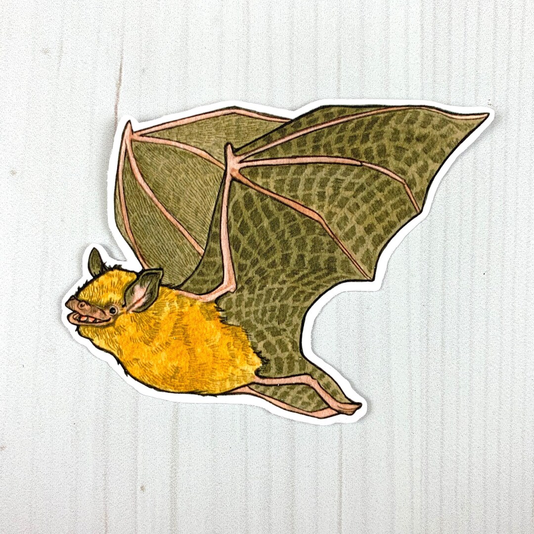 Tricolored Bat Vinyl Sticker - Etsy