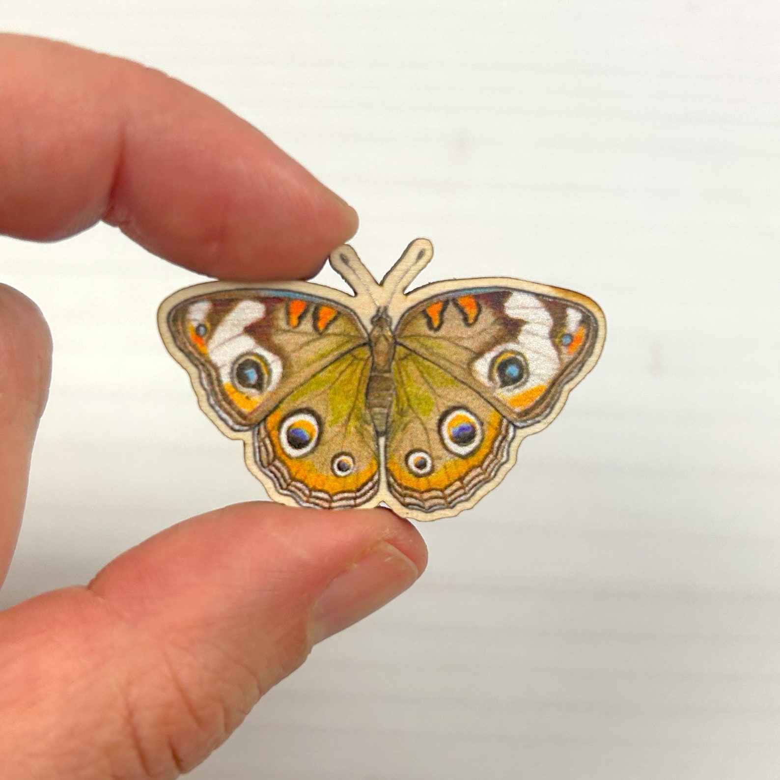 Common Buckeye - 1.5" Illustrated Wooden Pin - Etsy