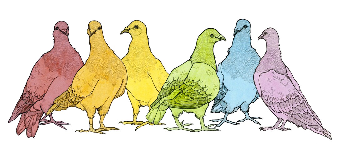 Pigeon Rainbow - 6x12 Archival Print - Etsy