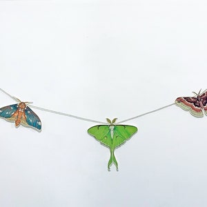 Colorful Moth Illustrated Garland - Etsy