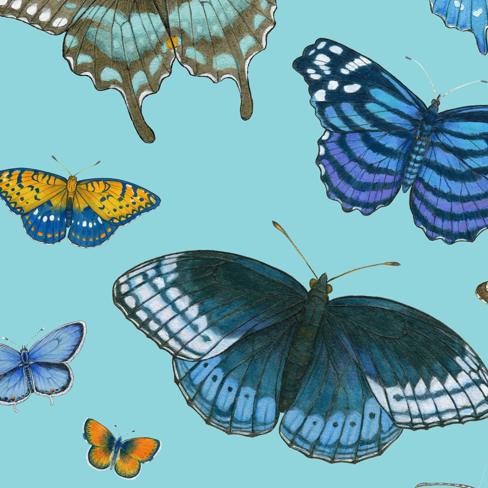 Blue Flutter 8x10 Archival Print - Etsy