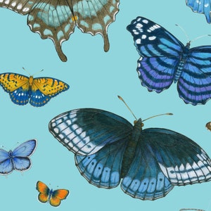 Blue Flutter - 8x10 Archival Print - Etsy