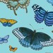 Blue Flutter 8x10 Archival Print - Etsy