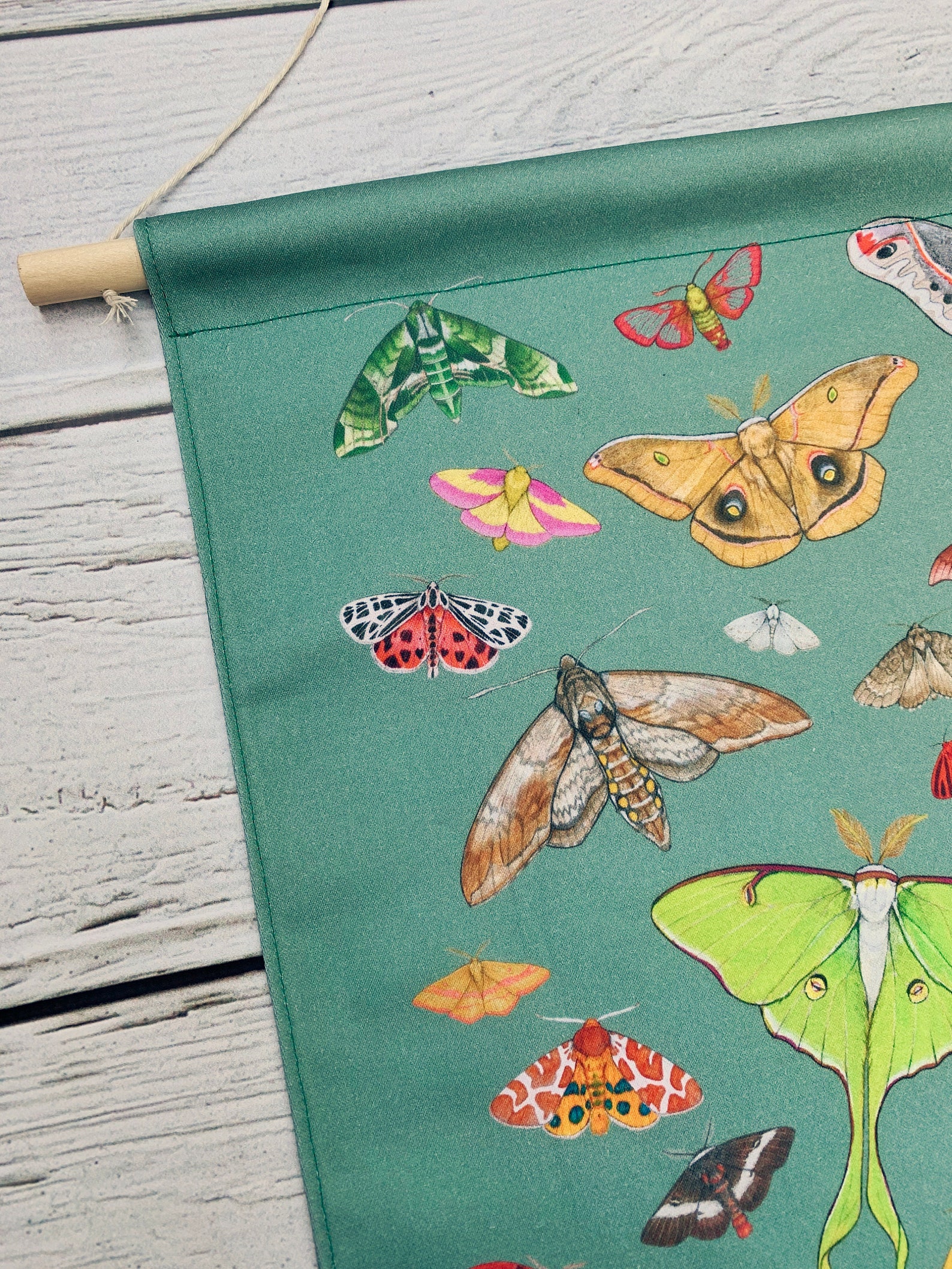 Illustrated Moth Wall Banner - Etsy