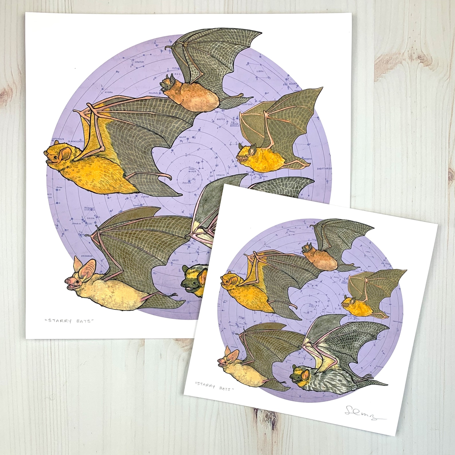 Starry Bats North American Native Bats Archival Print - Etsy