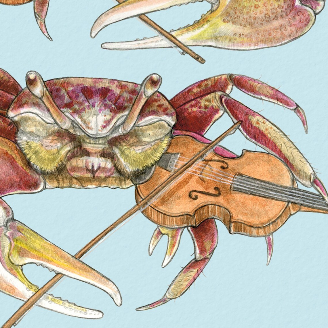 Fiddler Crabs - 8x8 " Archival Print - Etsy