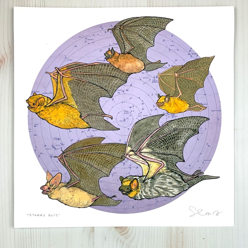 Starry Bats - North American Native Bats - Archival Print - Etsy