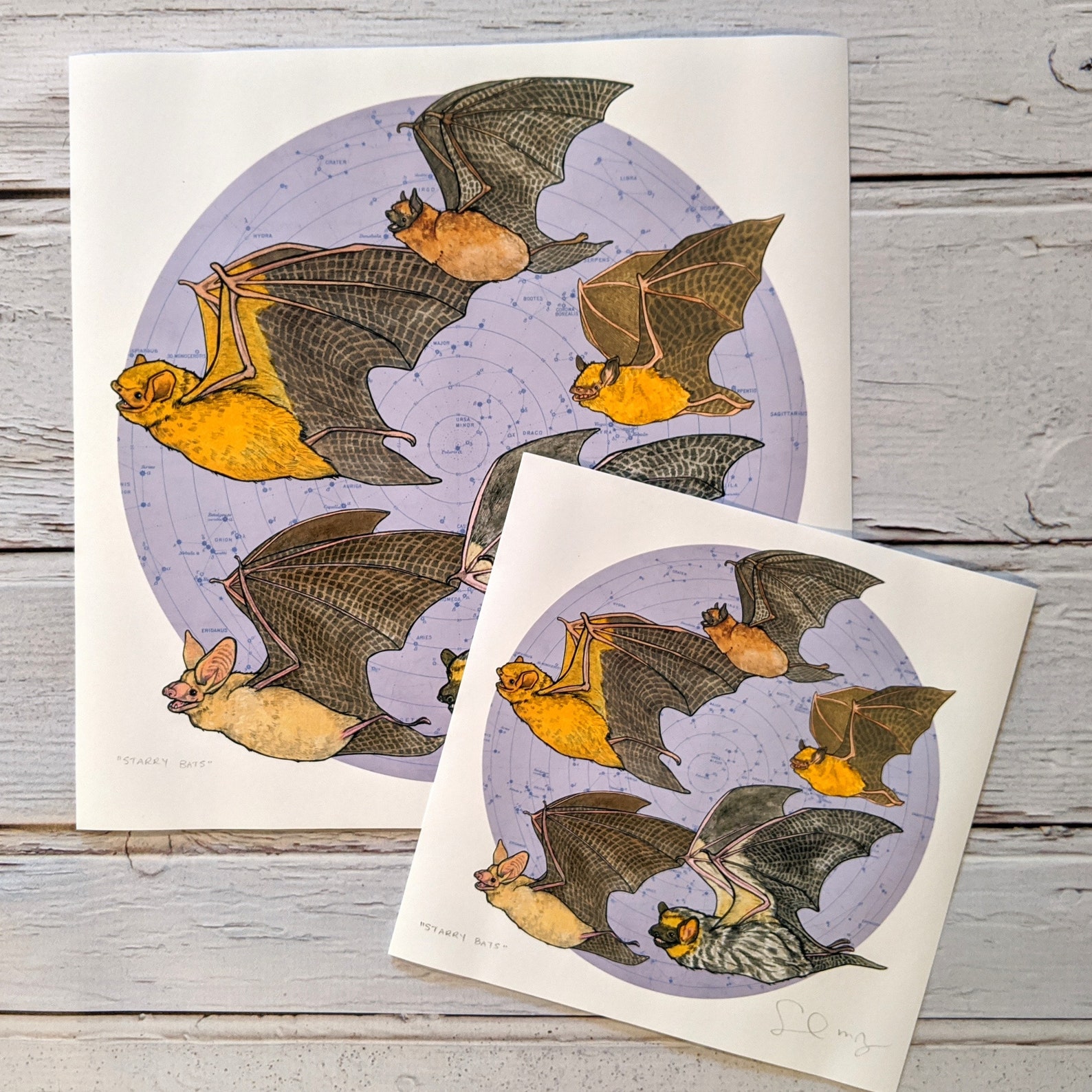 Starry Bats North American Native Bats Archival Print | Etsy