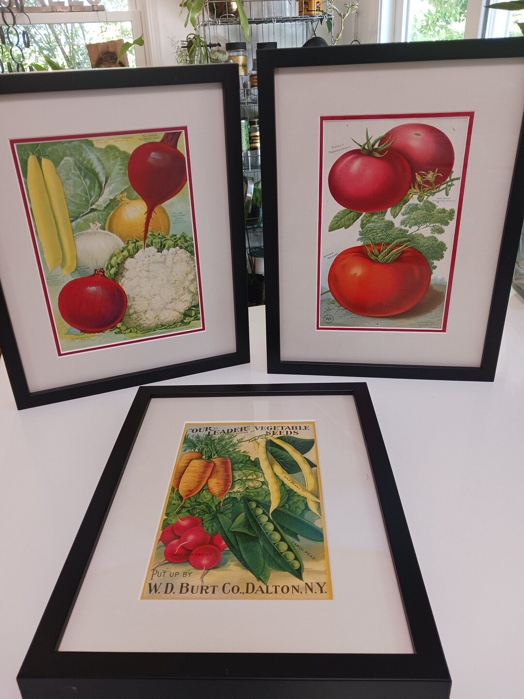 Trio of Framed Antique Seed Lithographs, Antique Seed Catalogue ...