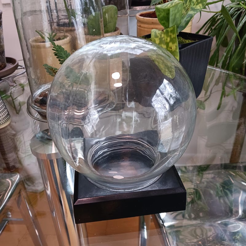 Glass Globe - Etsy
