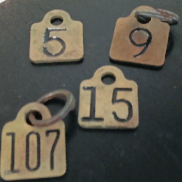 Brass Number Tags - Etsy