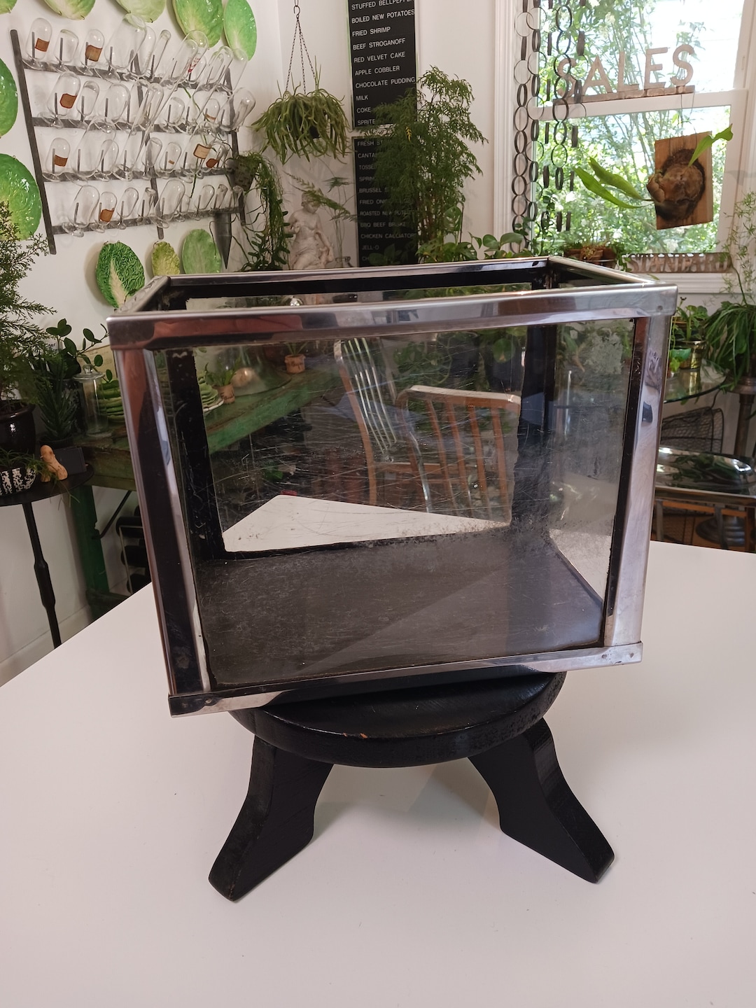Vintage Glass Fish Tank, Vintage Glass Aquarium, Vintage Terrarium ...