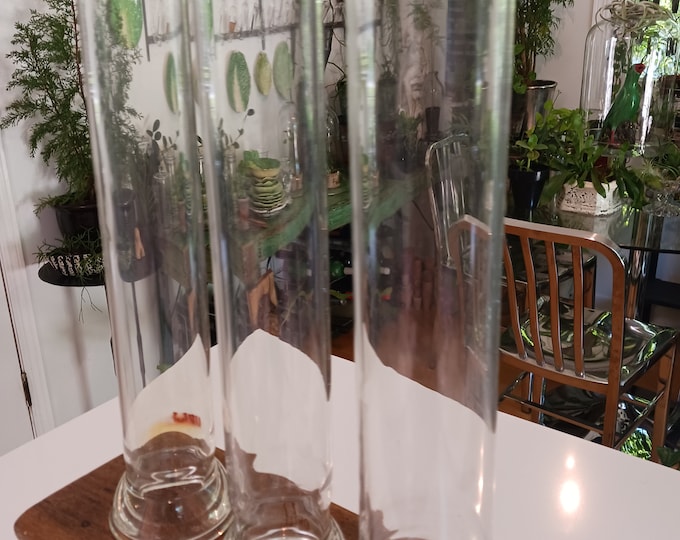 3 Vintage Glass Science Tubes: Propagator Display Cloche - Etsy