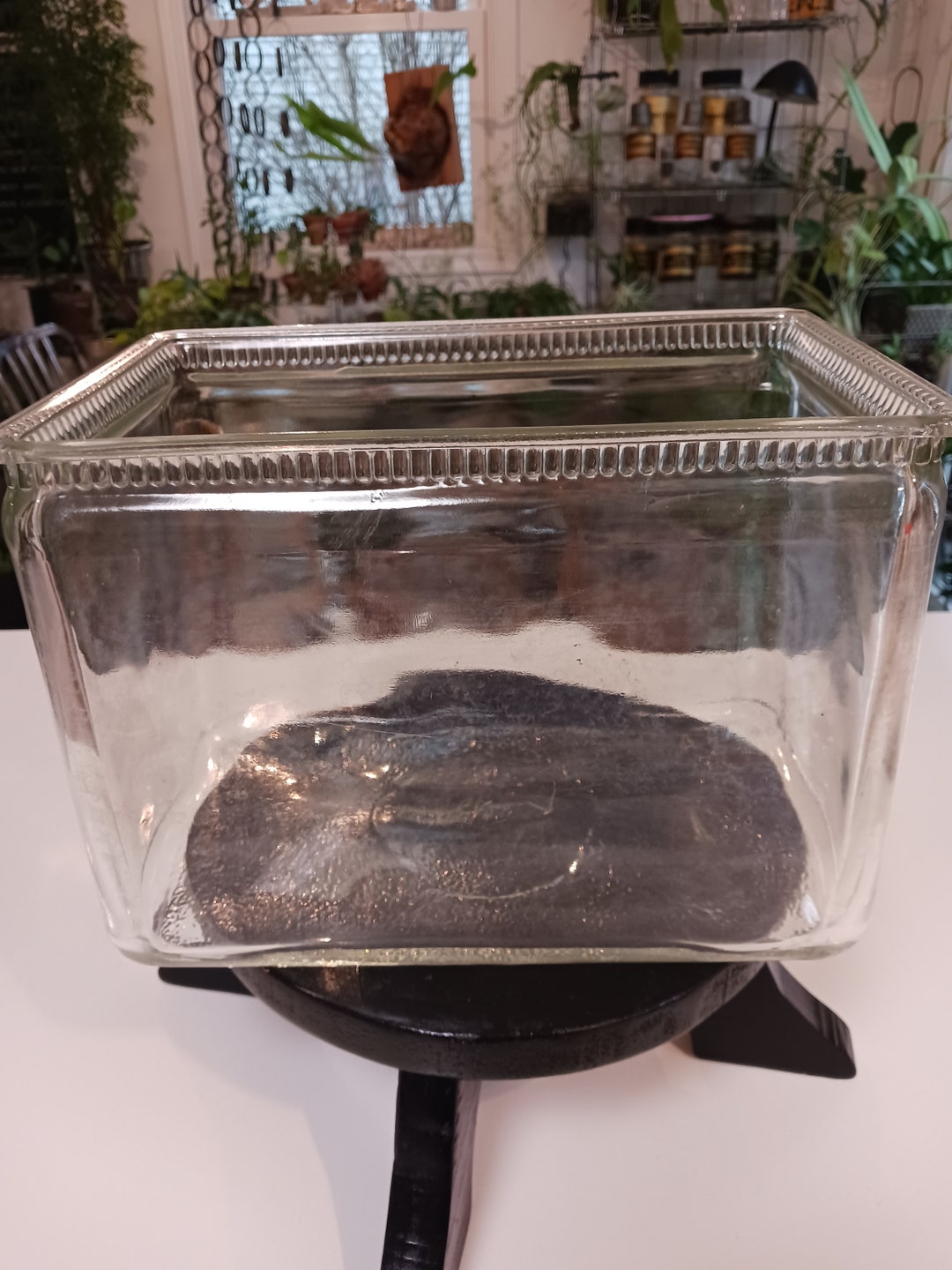 Antique Battery Jar, Glass Battery Jar, Vintage Glass Display, Vintage ...