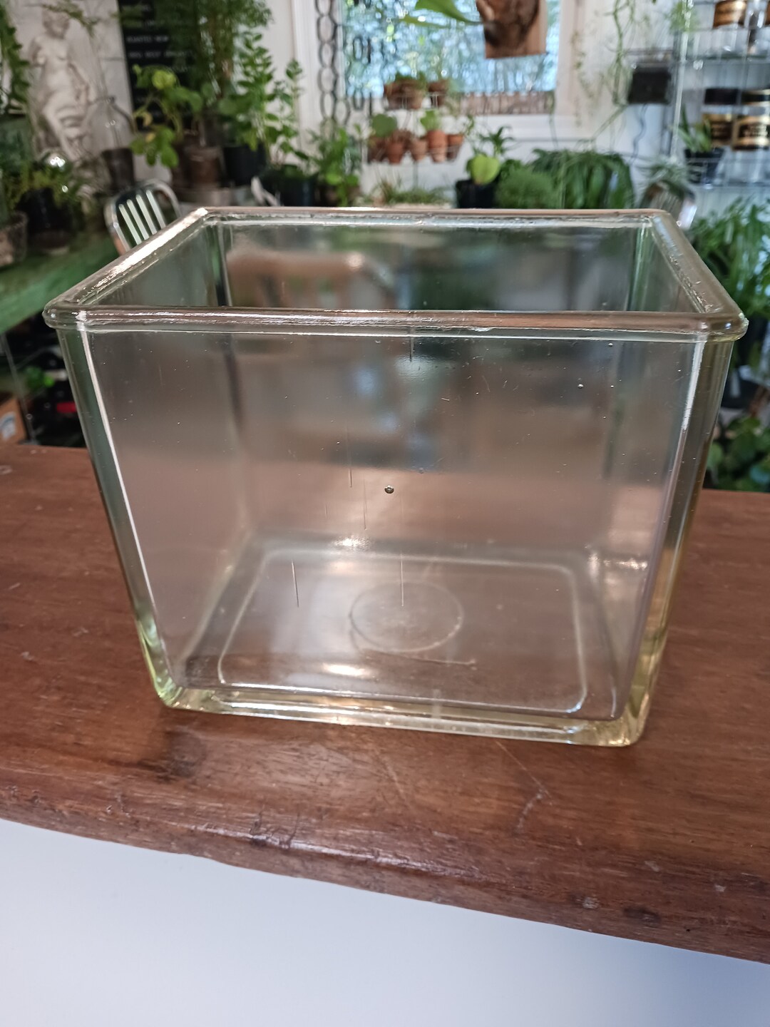 Vintage Glass Battery Jar, Vintage Glass Container, Vintage Glass ...