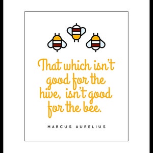 Stoic Quote “that Which Isn’t Good for the Hive, Isn’t Good for the Bee ...