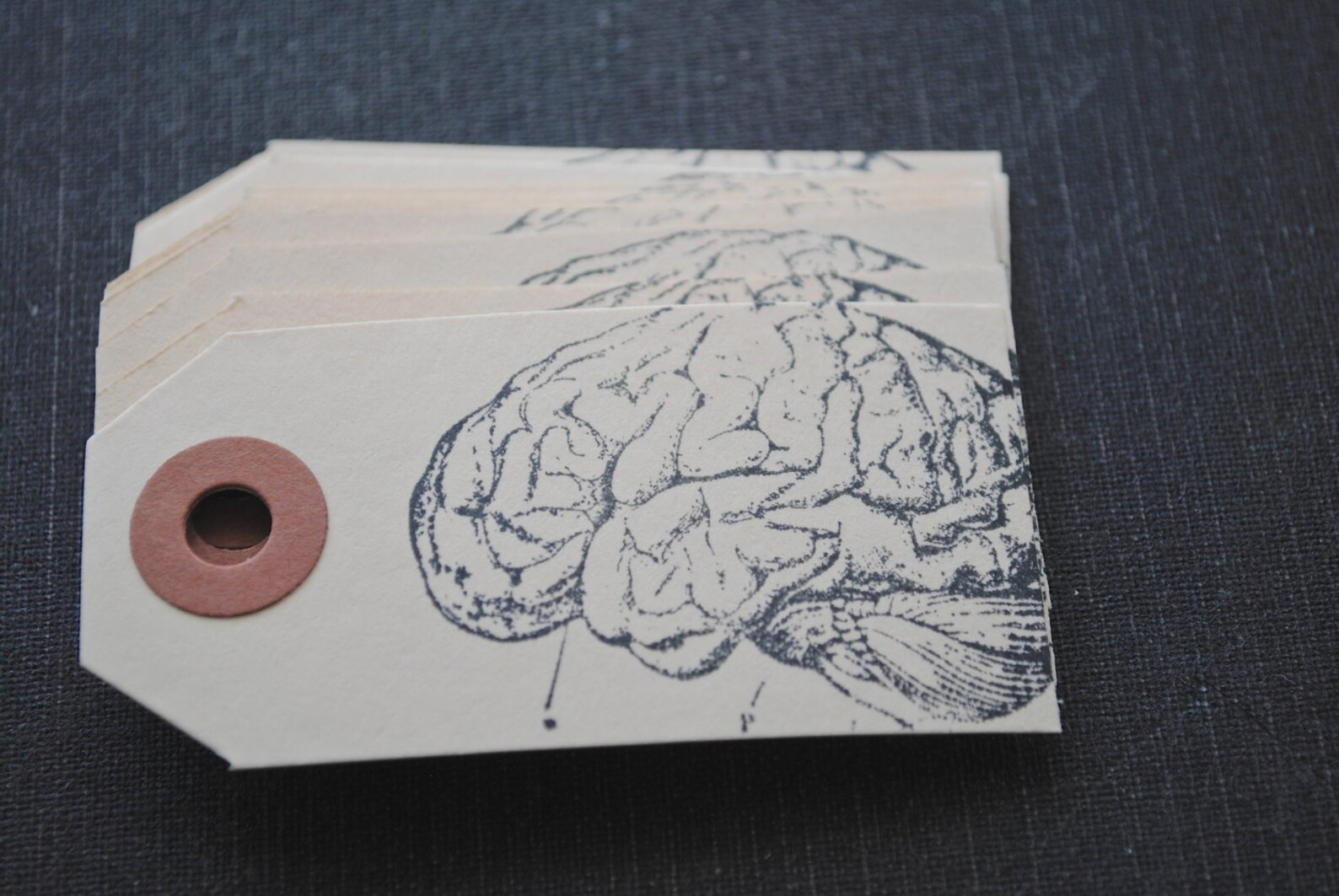 Brain Handstamped Gift Tags Set of 10 Vintage // Gray | Etsy