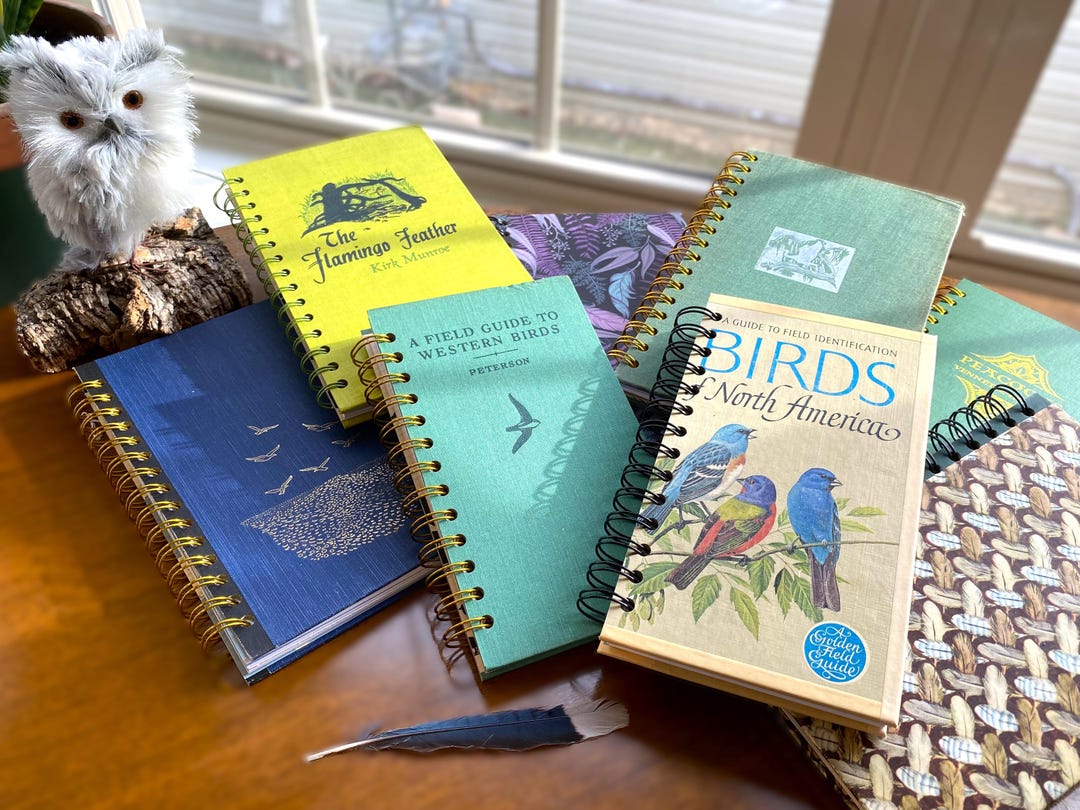 Upcycled Bird Journals: Nature Notebooks and Sketchbooks With Recycled ...
