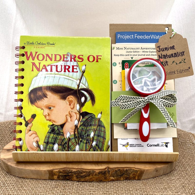 Upcycled Books Journals - Etsy