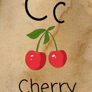 Fruit Alphabet Flashcards - Etsy