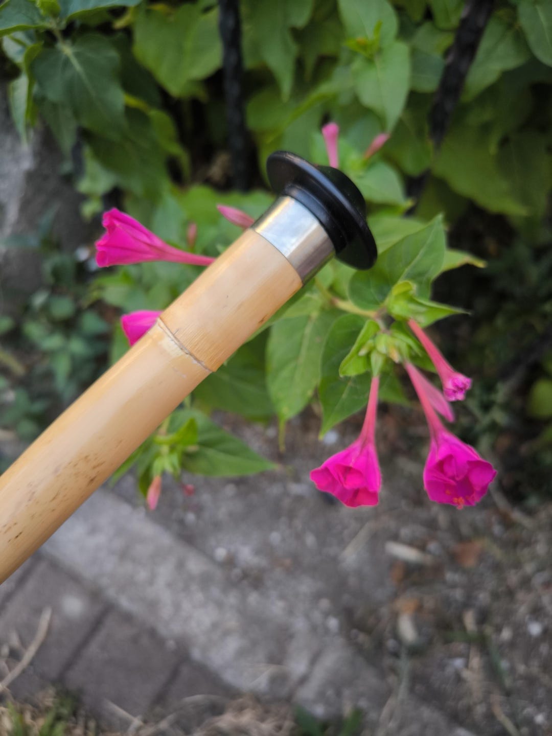 Traditional Turkish Ney Flute | Authentic Sufi Instrument | Handcrafted ...