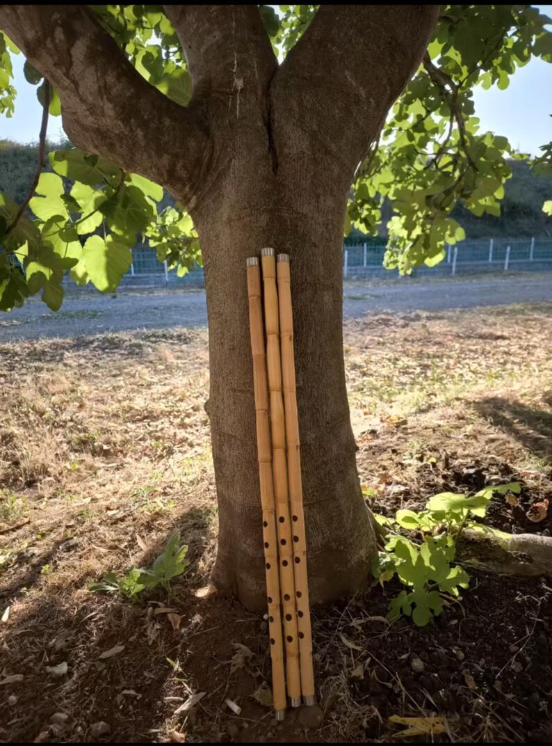 Traditional Turkish Ney Flute | Authentic Sufi Instrument | Handcrafted ...