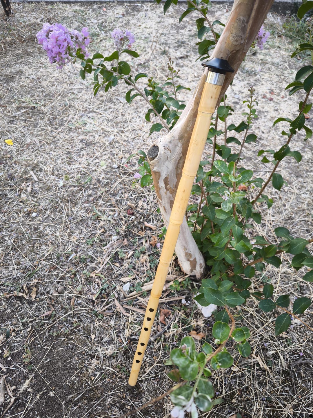 Traditional Turkish Ney Flute | Authentic Sufi Instrument | Handcrafted ...