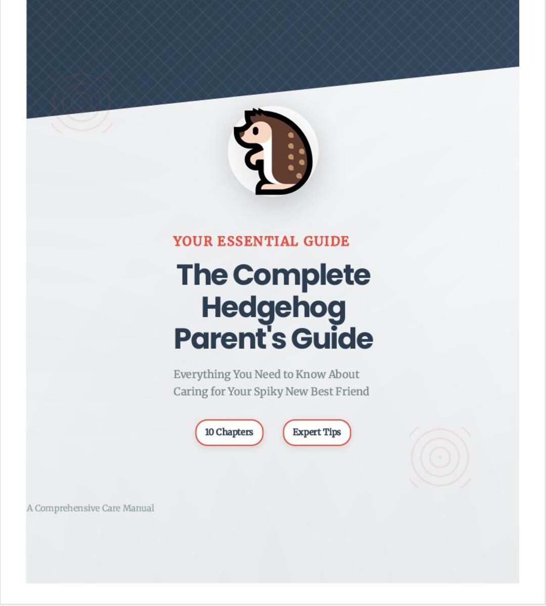 The Complete Hedgehog Parent's Guide - Etsy