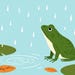 Frog in Rain With Red Umbrella - Five Files (picsart) - Etsy