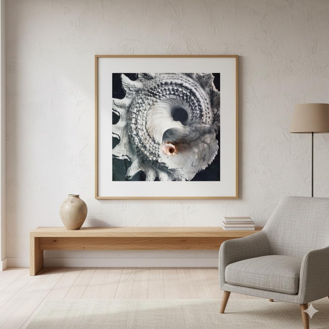 Always a Tribute to Nature"shell Trompe-l'oeil - Black White Conceptual ...