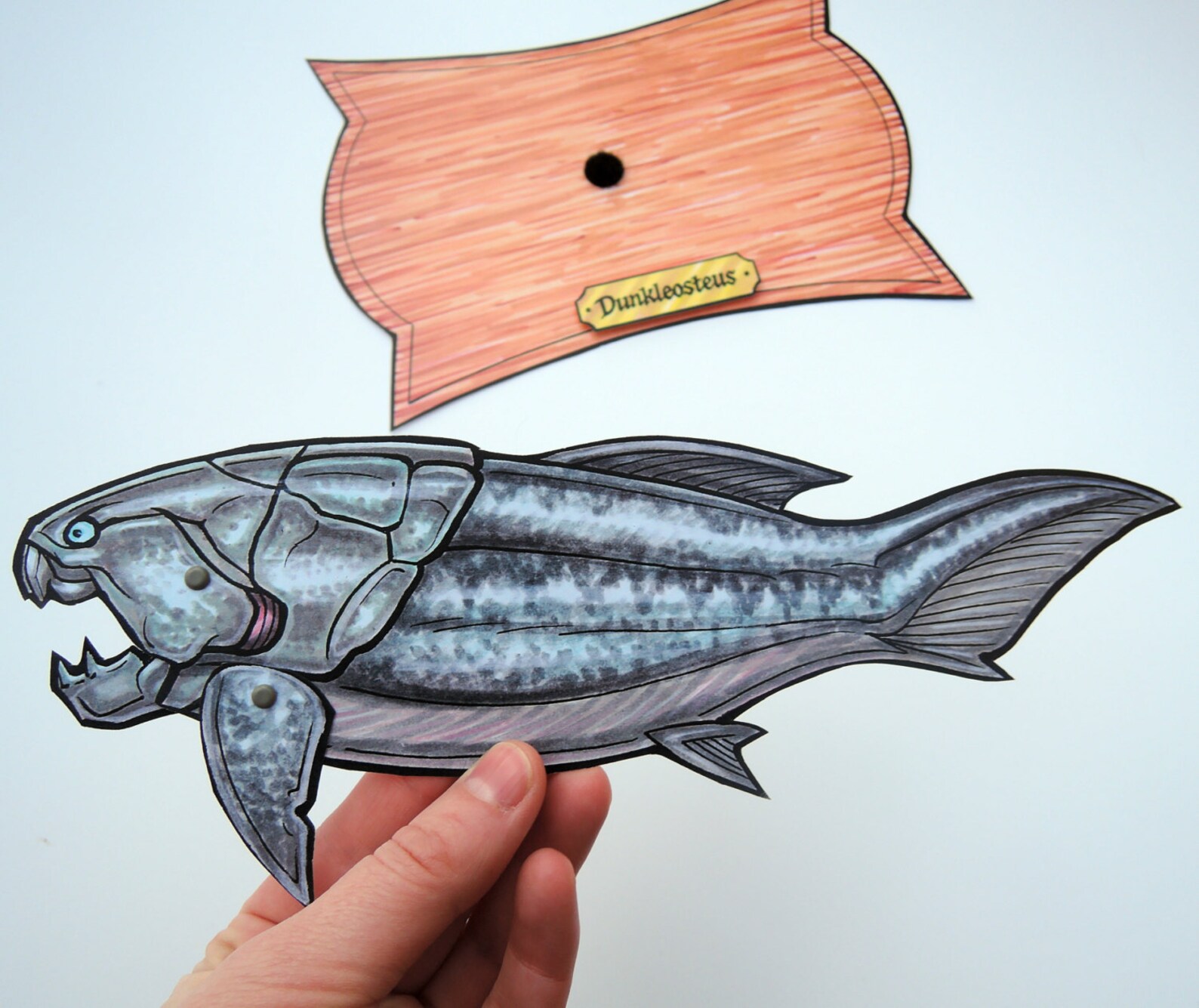 Dunkleosteus Prehistoric Paper Fish Mount - Etsy