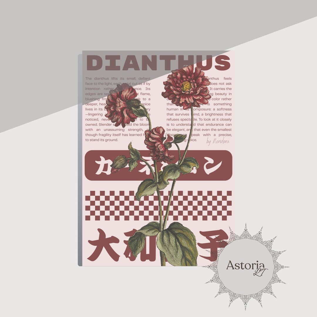 Dianthus Botanical Poster, Rolled Prints, Nature Wall Art, Digital ...