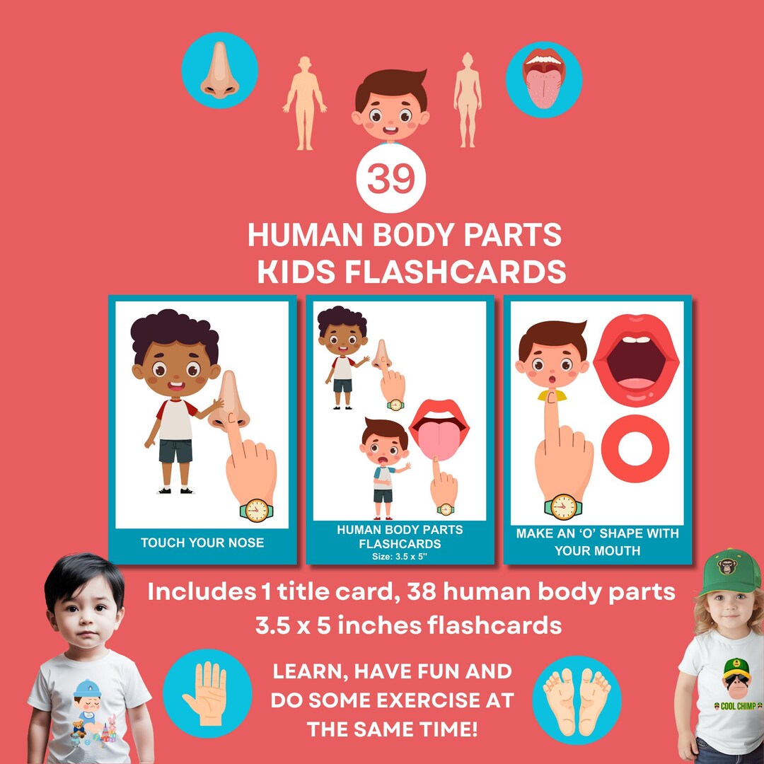 Human Body Parts Flashcards for Kids - Anatomy Learning Activity ...