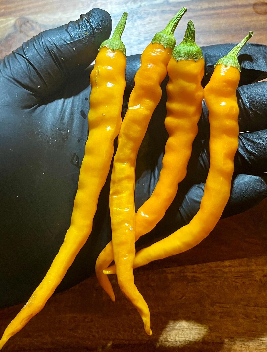 Hangjiao #3 Solar Flare Space Pepper Seeds - Etsy