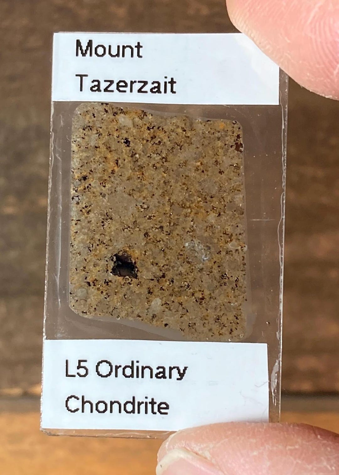 Meteorite Mount Tazerzait L5 Ordinary Chondrite in Thin Section ...