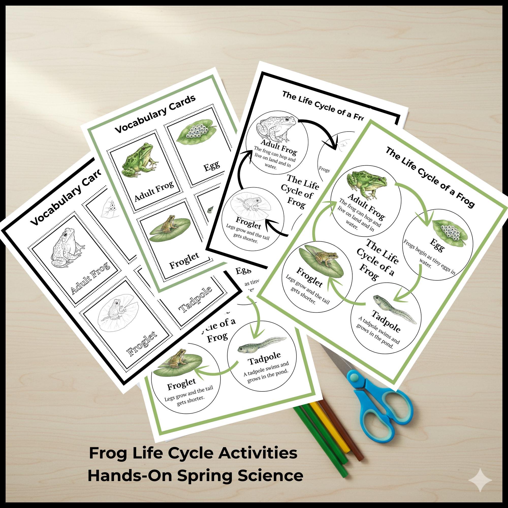 Frog Life Cycle Craft Printable | Life Cycle of a Frog Activities and ...