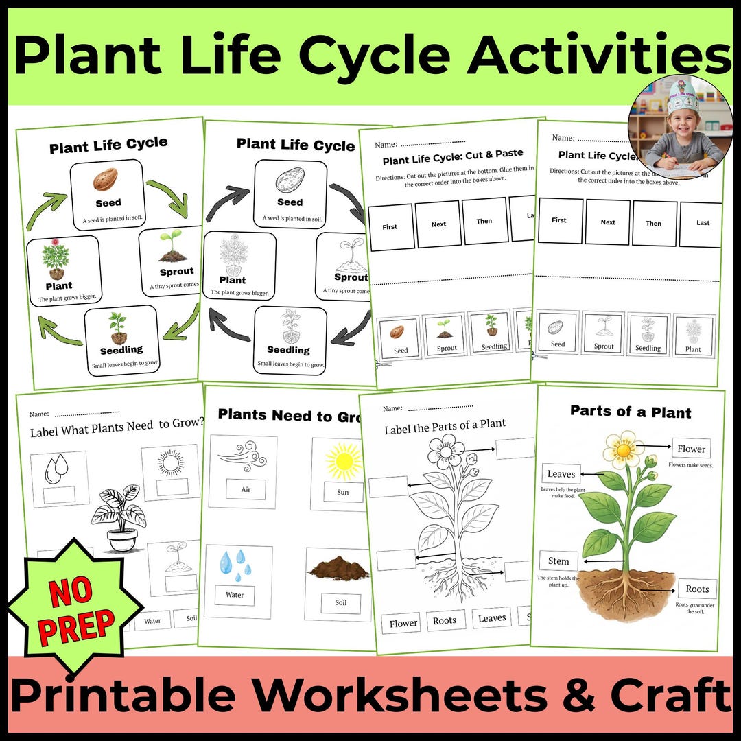 Plant Life Cycle Activities | Parts of a Plant Worksheets | Spring ...
