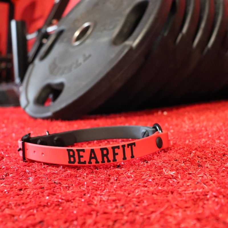 Custom Logo Leash - Etsy