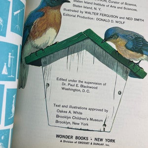 Here and Why Birds 1960 Book Booklet Soft Cover Wonder Books - Etsy