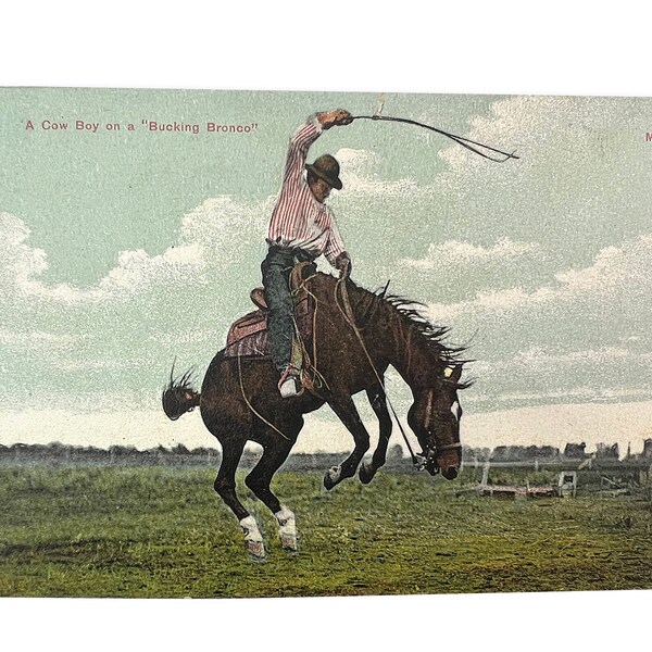 Cowboy Postcard - Etsy